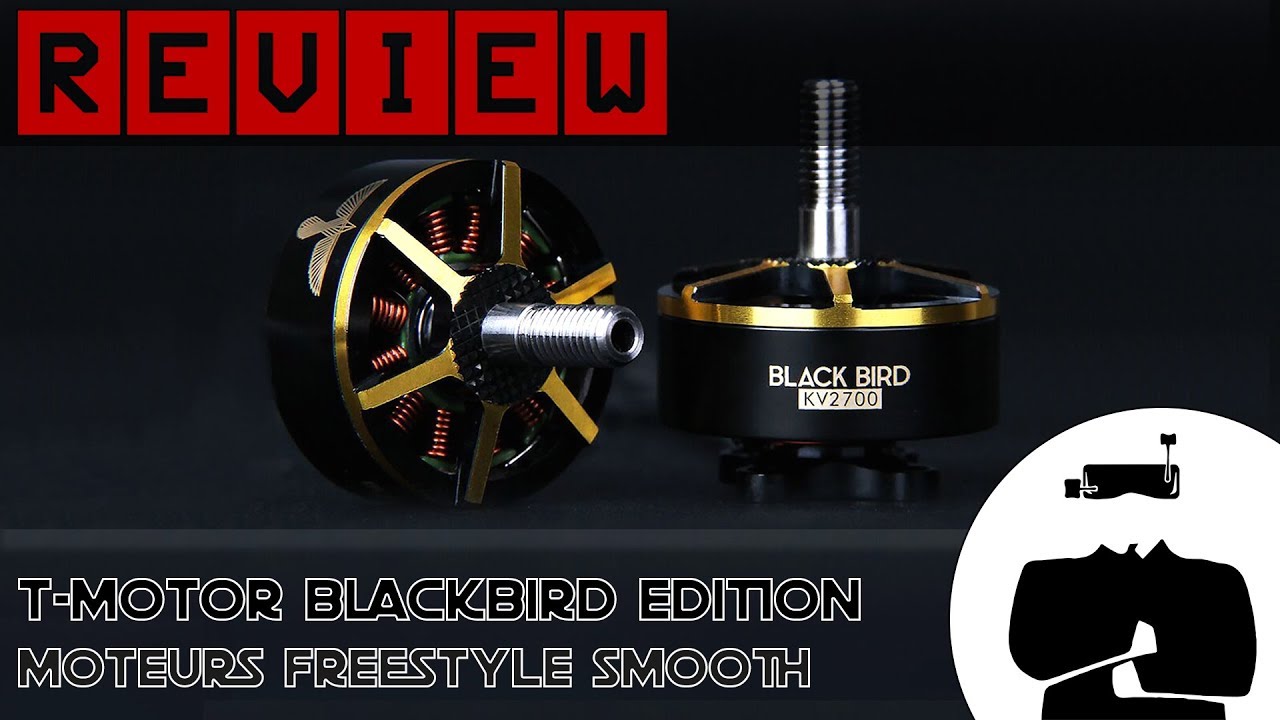 T-Motor BlackBird Edition, les moteurs de Damien Gans - WE are FPV